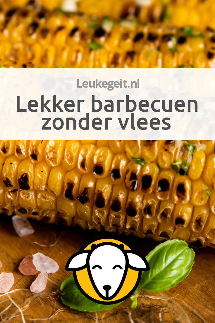 Lekker barbecuen zonder vlees - Leukegeit