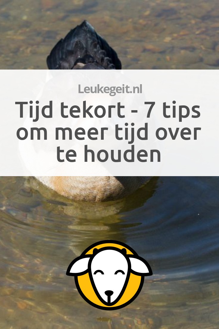 Tijd tekort - 7 tips om meer tijd over te houden - Leukegeit
