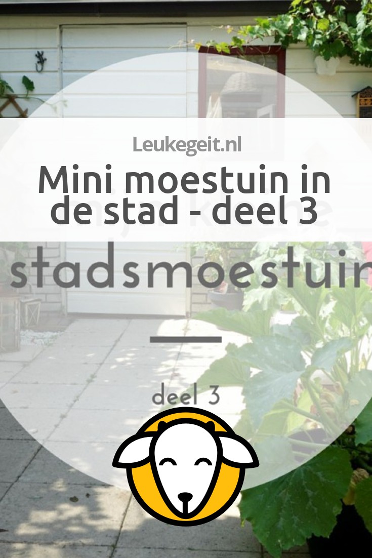 Mini moestuin in de stad - deel 3 - Leukegeit