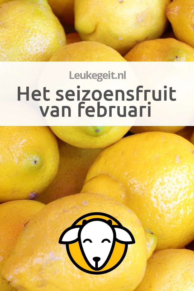 Seizoensfruit februari - overzicht van het seizoensfruit