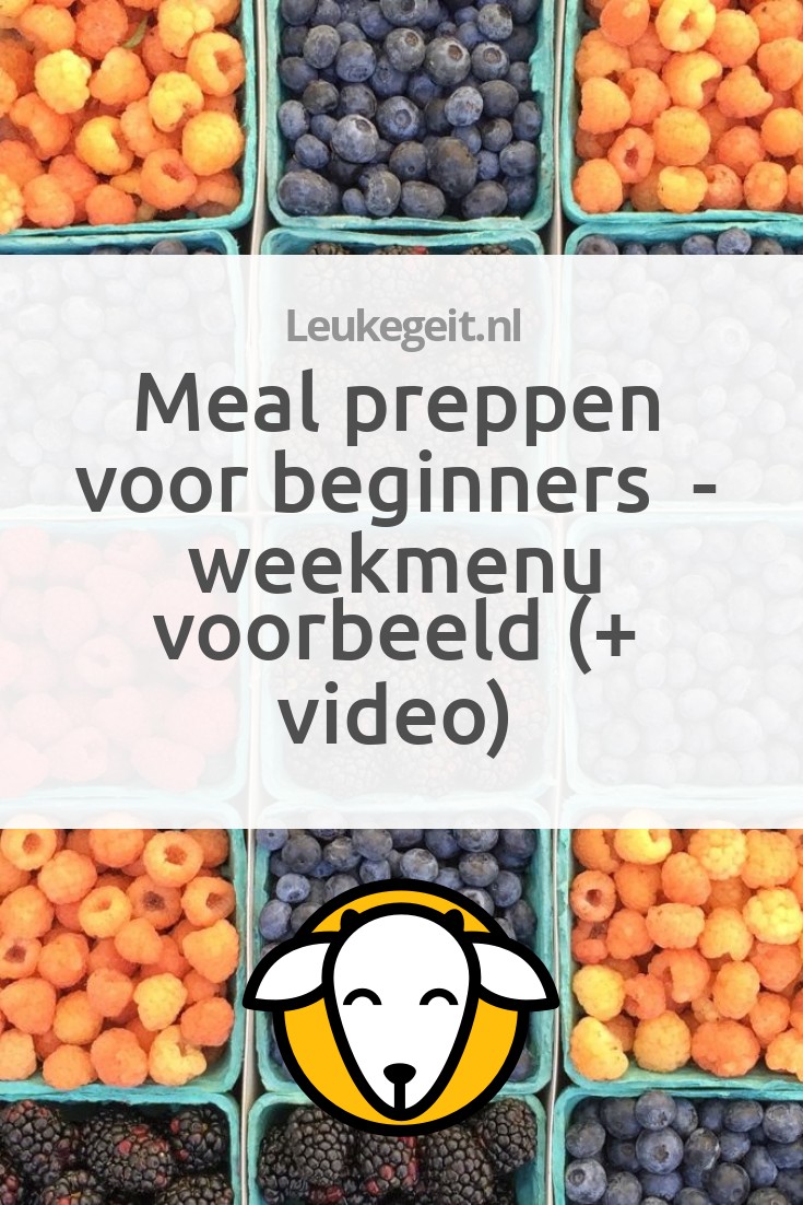 Meal preppen voor beginners - weekmenu voorbeeld (+ video) - Leukegeit