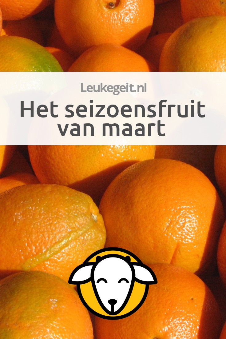 Seizoensfruit maart - overzicht van het seizoensfruit