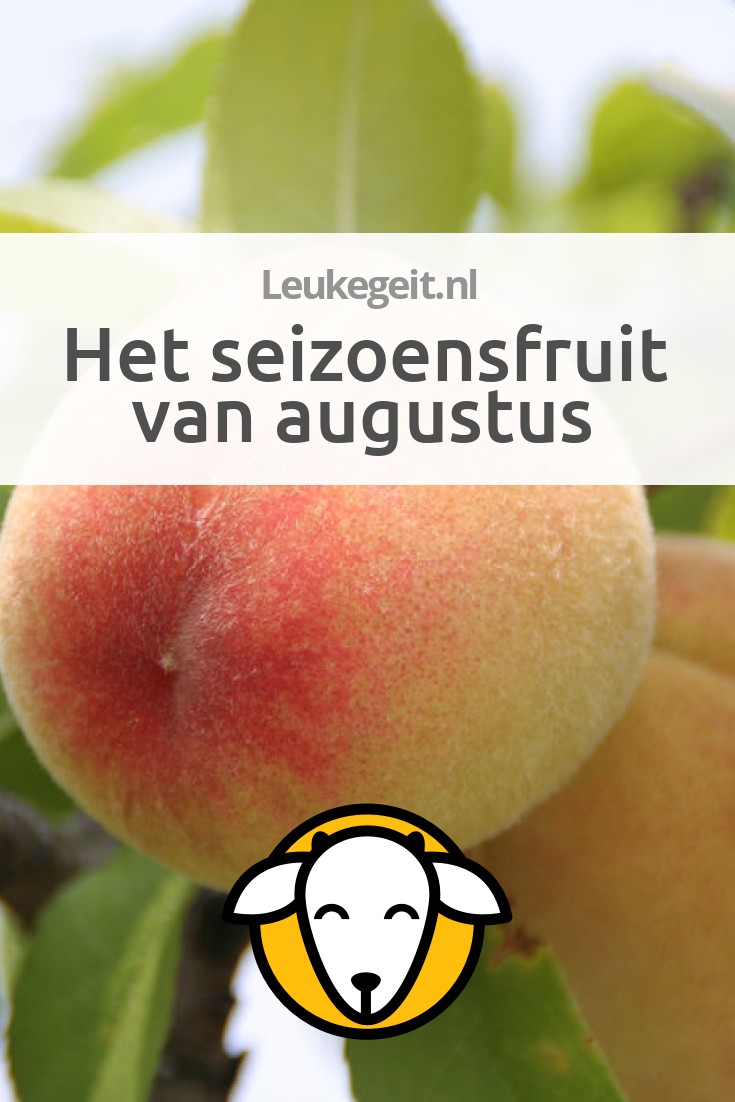 Seizoensfruit augustus - overzicht van het seizoensfruit