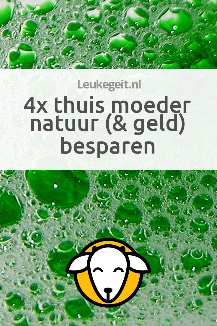 4x Thuis moeder natuur (& geld) besparen - Leukegeit