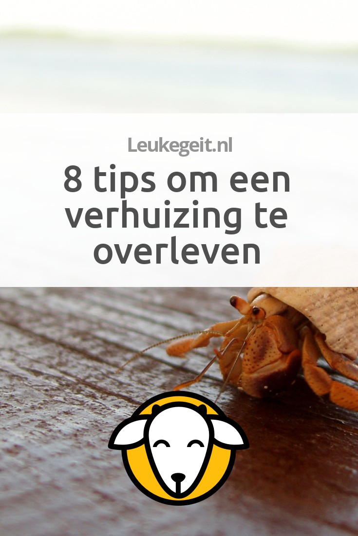 8 tips om een verhuizing te overleven - Leukegeit