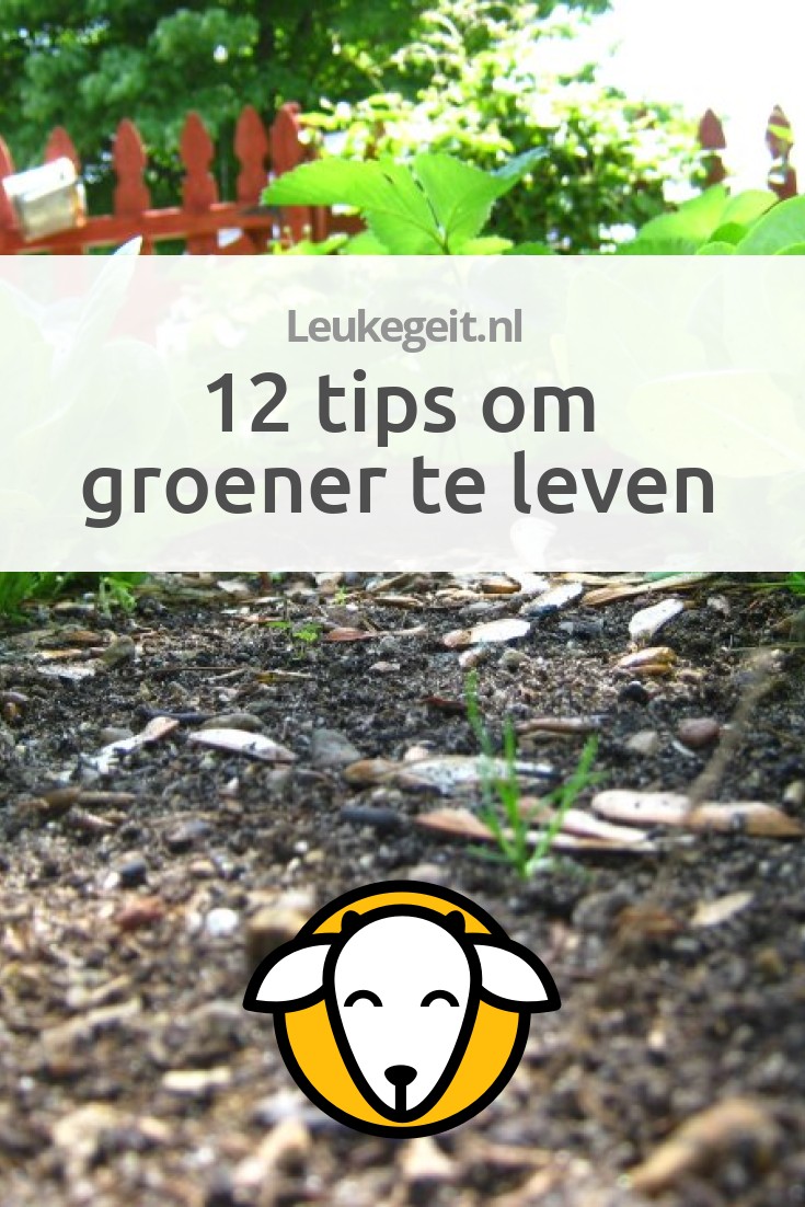 12 tips om groener te leven - Leukegeit