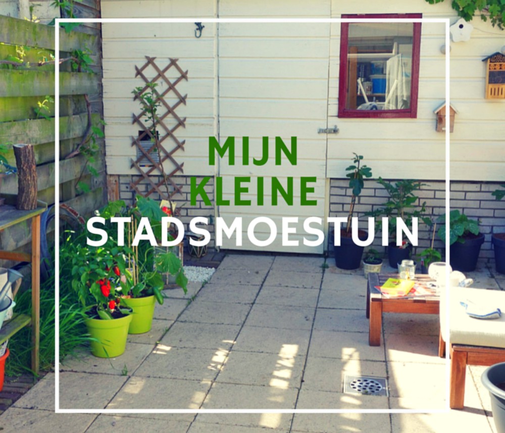 Mijn kleine stadsmoestuin - Leukegeit